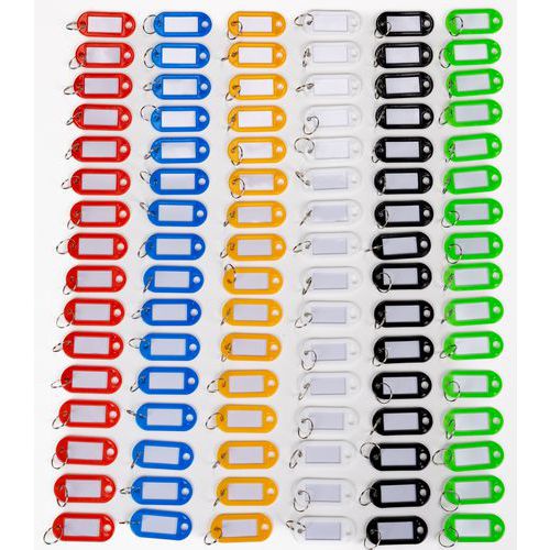 Plastic Key Fobs With Blank Labels - Rapid Racking