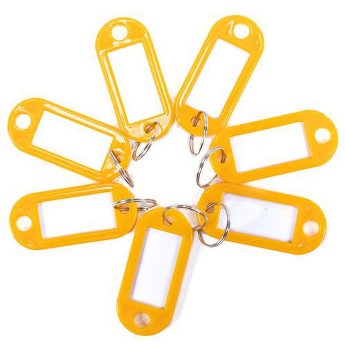 100 Plastic Key Fobs With Blank Labels - Rapid Racking