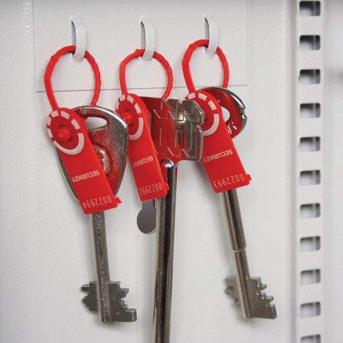 Standard Key Cabinet with Key Lock - Rapid Racking